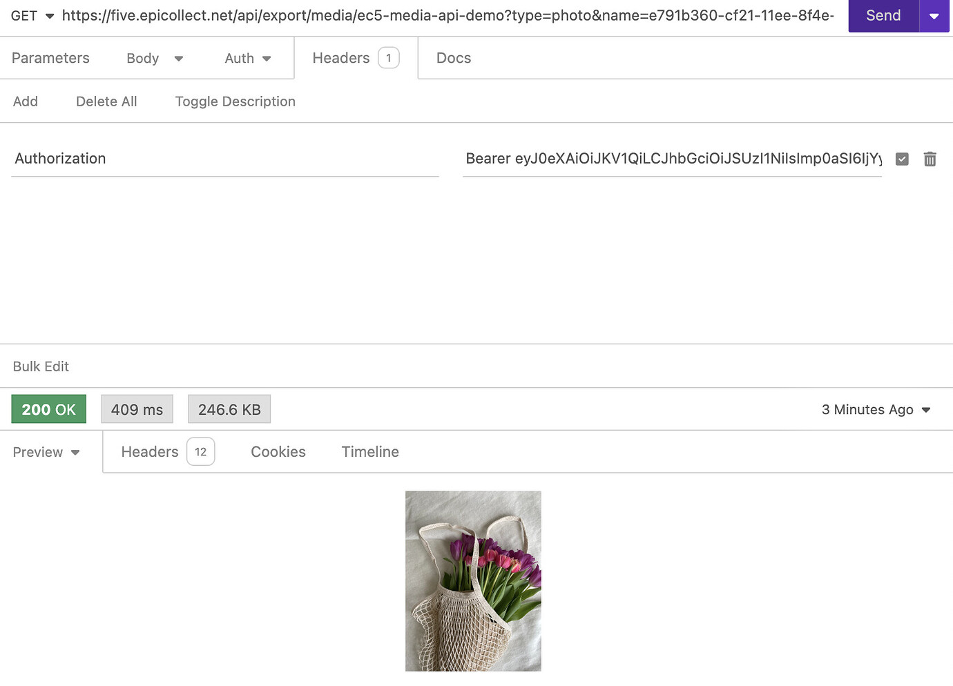 Download images using Epicollect5 API - Epicollect5 Community